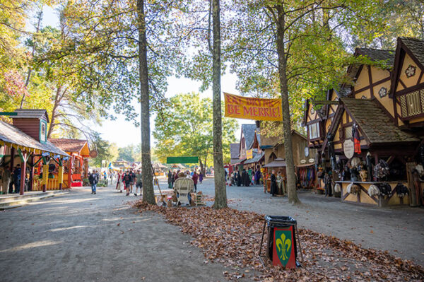 Carolina Renaissance Festival (7 Important Fair Tips!)