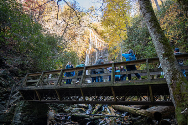 Mingo Falls in Cherokee NC (How to See This Great Waterfall)