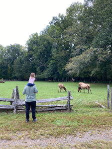 20 Excellent Things to Do in Cherokee + the Qualla Boundary