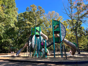 25+ Great Things to Do in Lake Norman (Nearby Towns + Parks)