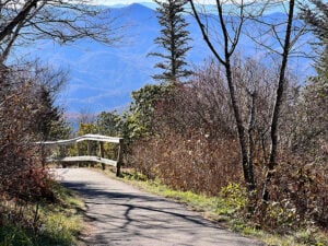 Epic Waterrock Knob Trail near Maggie Valley Complete Guide