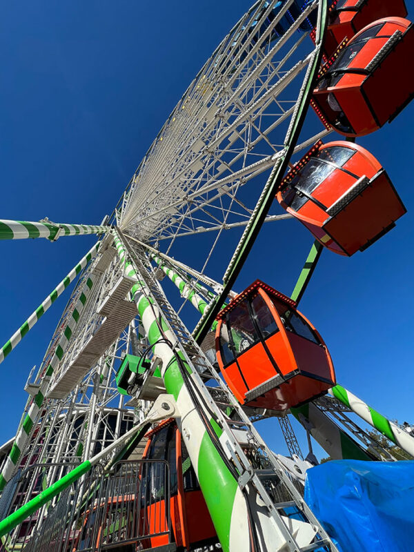 How to Enjoy the NC State Fair in Raleigh 2025 (15+ Tips!)