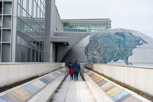 NC Museum of Natural Sciences (Everything You Need to Know!)