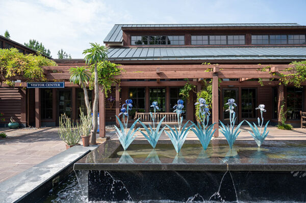 Sarah P Duke Gardens Durham NC (10 Important Tips to Enjoy!)