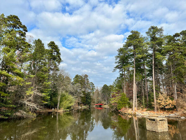 Sarah P Duke Gardens Durham NC (10 Important Tips to Enjoy!)