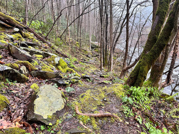 Historic Tapoco Lodge NC Mountain Retreat + 7 Things to Love