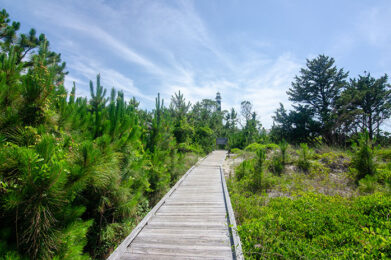 Cape Lookout Lighthouse NC (How to Reach this Amazing Place)