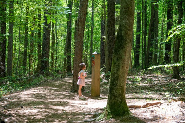 20+ Great Things to Do in Johnston County (JoCo's Best!)