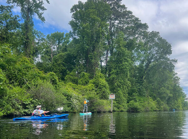 Spring in North Carolina (80+ Great Things to Do and Events)