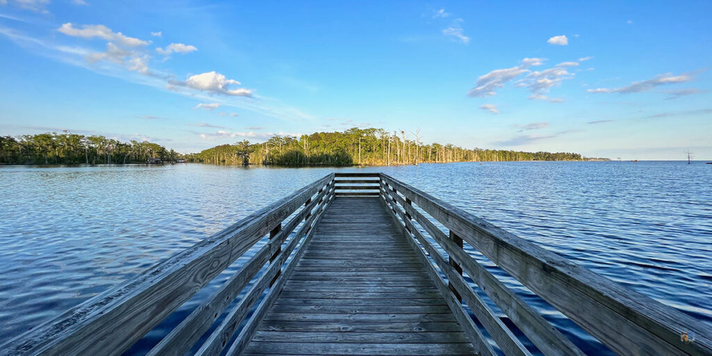 13 Best Spring Break Destinations in North Carolina!