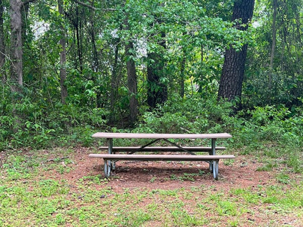 How to Enjoy Dismal Swamp State Park (10+ Fun Things to Do)