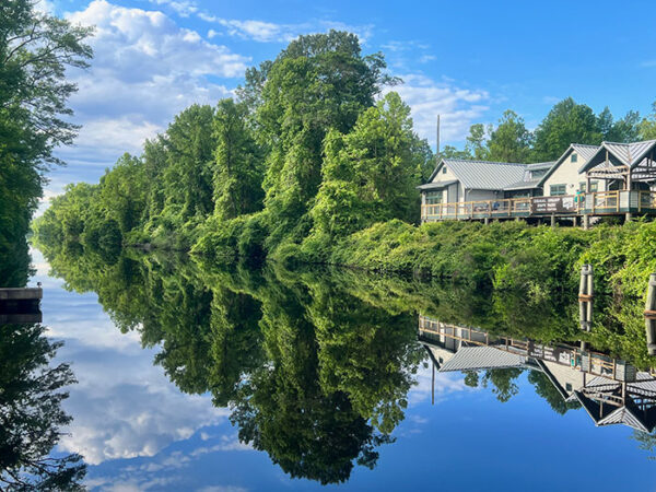 How to Enjoy Dismal Swamp State Park (10+ Fun Things to Do)