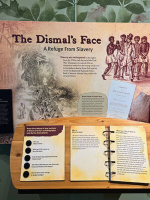 How to Enjoy Dismal Swamp State Park (10+ Fun Things to Do)