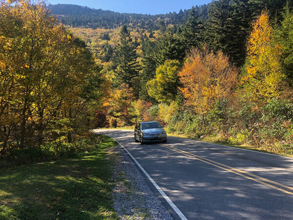 The Best Things to Do in Mount Mitchell State Park NC