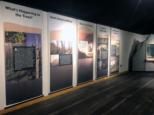 The Best Things to Do in Mount Mitchell State Park NC