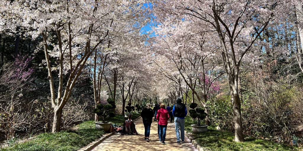 13 Best Spring Break Destinations in North Carolina!