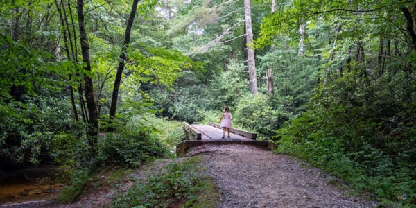 4 National Forests in NC (Things to Do + Why We Love Them!)