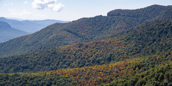 4 National Forests in NC (Things to Do + Why We Love Them!)