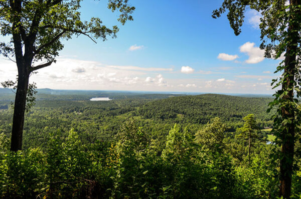 4 National Forests in NC (Things to Do + Why We Love Them!)