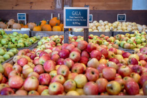 10 Great Apple Orchards in Hendersonville for Apple Picking