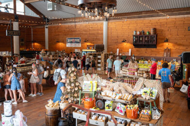 Apple Picking in North Carolina + 17 Best Orchards to Visit