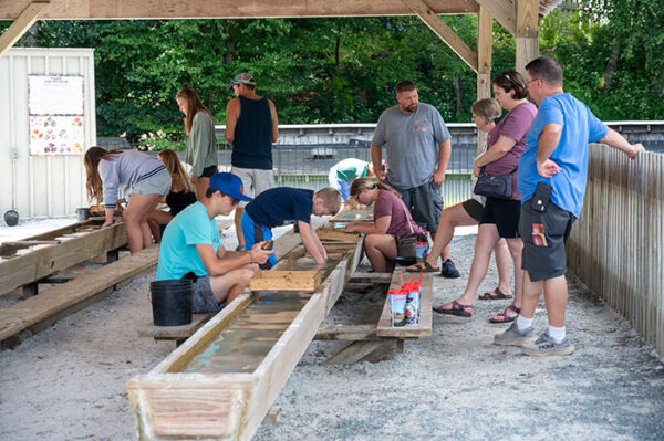 Tweetsie Railroad Attractions and The 5 Best Things to Do