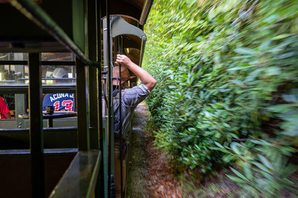 Tweetsie Railroad Attractions and The 5 Best Things to Do
