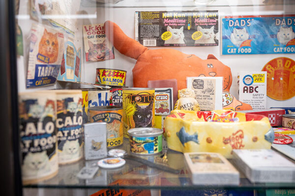 50+ Excellent Things to Do in Sylva NC and Nearby!