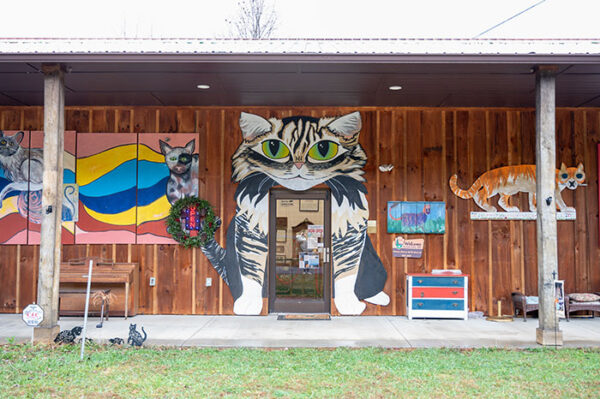 50+ Excellent Things to Do in Sylva NC and Nearby!