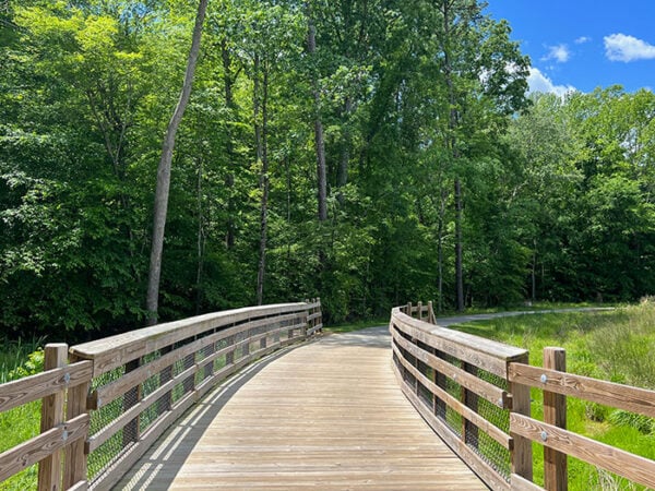 20+ Great Things to Do in Johnston County (JoCo's Best!)