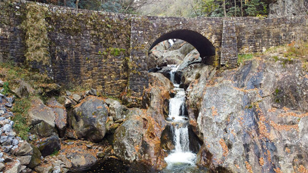 Sunburst Falls NC: How to Find an Amazing Roadside Waterfall