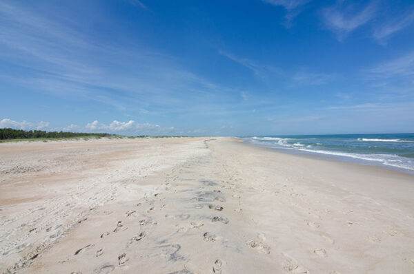 Cape Lookout National Seashore NC (10 Best Things to Do)