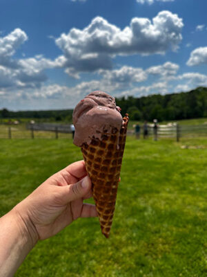 2023's Best of North Carolina Awards Winners