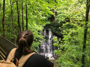 35 Gorgeous Waterfalls near Cherokee NC (Within 2 Hours)