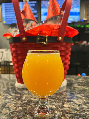 13 Amazing Craft Breweries in Durham NC (The Best Beer!)