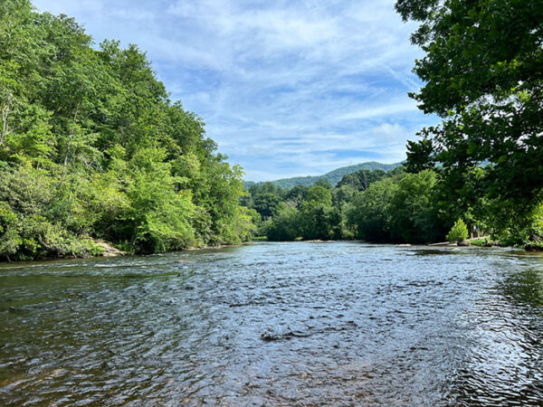 50+ Excellent Things to Do in Sylva NC and Nearby!