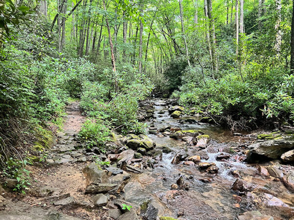 How to Reach Courthouse Falls in Transylvania County NC