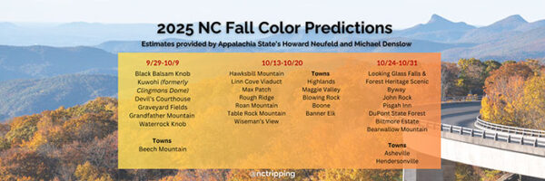 Fall in North Carolina 2025 (Find Fall Colors + Best Events)
