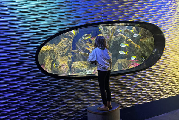 50 AWESOME Museums in North Carolina (for ALL Ages!)