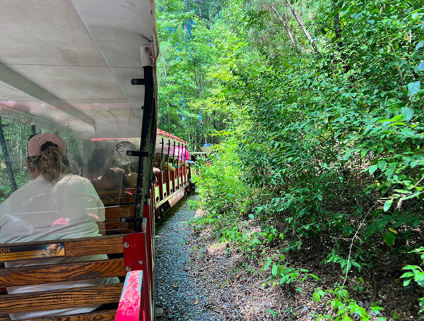 7 Incredible Train Rides in NC for Kids (and Kids at Heart!)