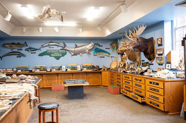 20+ Great Things to Do in Hickory NC (Museums + Best Food!)