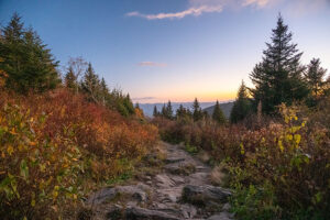 Epic Waterrock Knob Trail near Maggie Valley Complete Guide